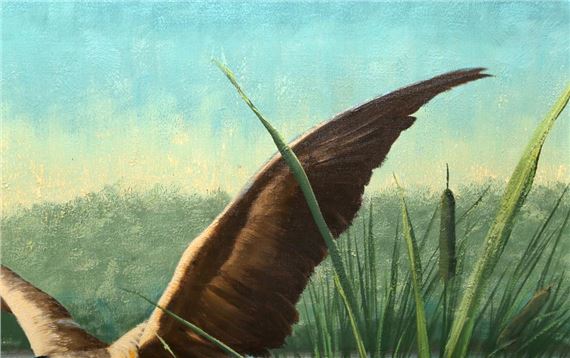 Peter Darro | CANADA GOOSE IN FLIGHT (1972) | MutualArt