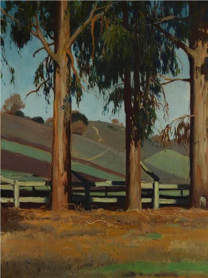 James Swinnerton | Eucalyptus Trees | MutualArt