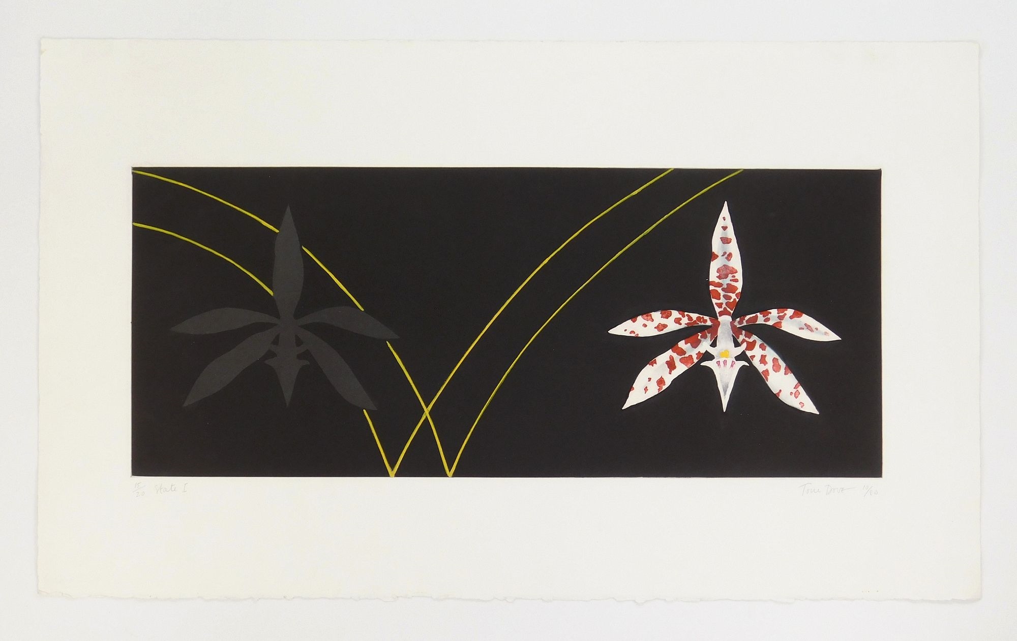 Toni Dove | Toni Dove (American 1946- ) etching (1980) | MutualArt