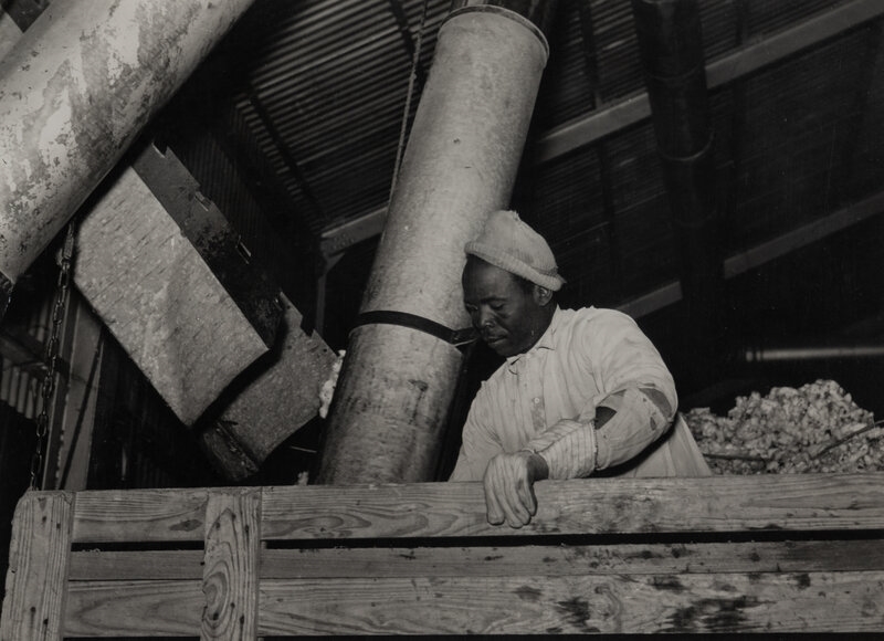 Marion Post Wolcott | Taking the cotton from the truck into the gin ...