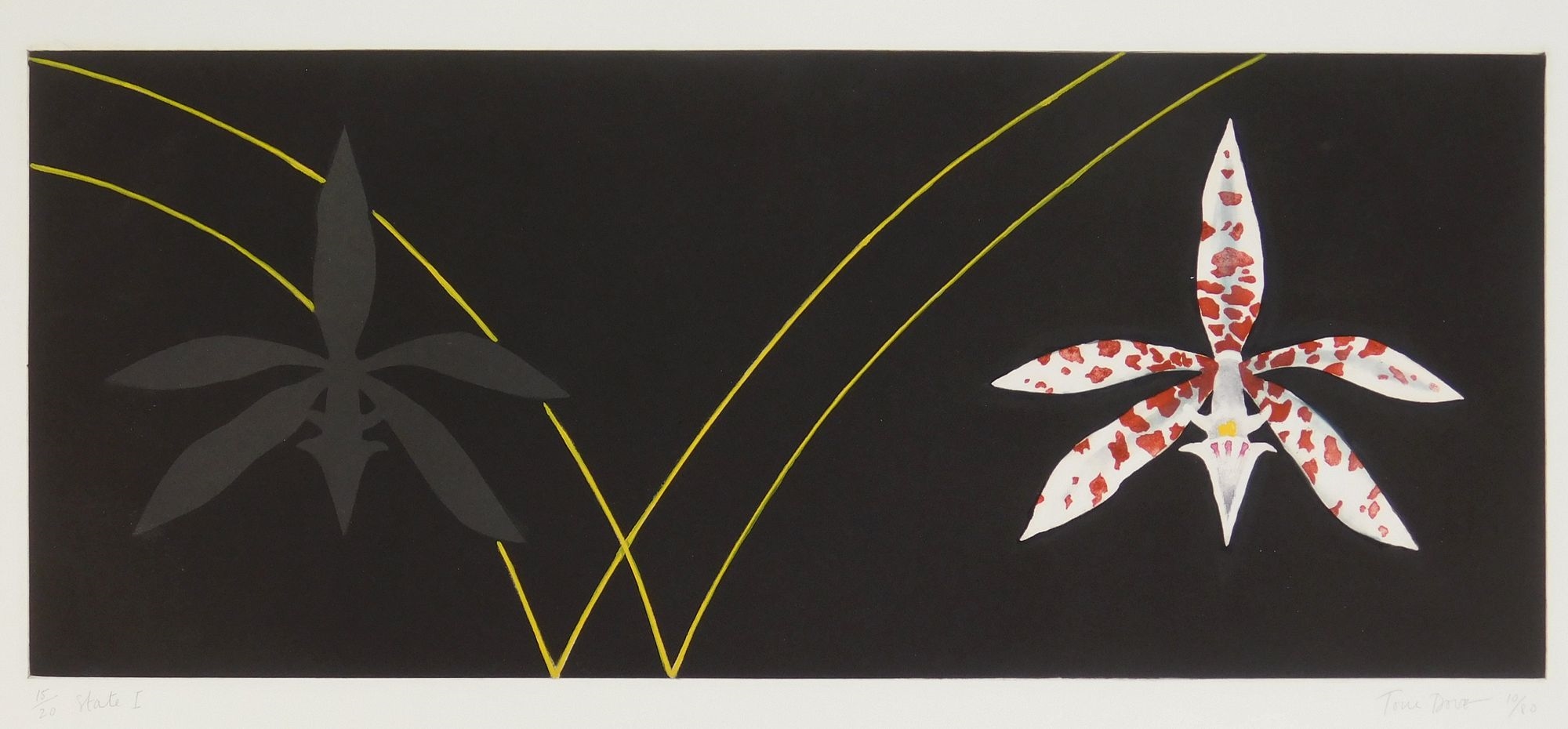 Toni Dove | Toni Dove (American 1946- ) etching (1980) | MutualArt