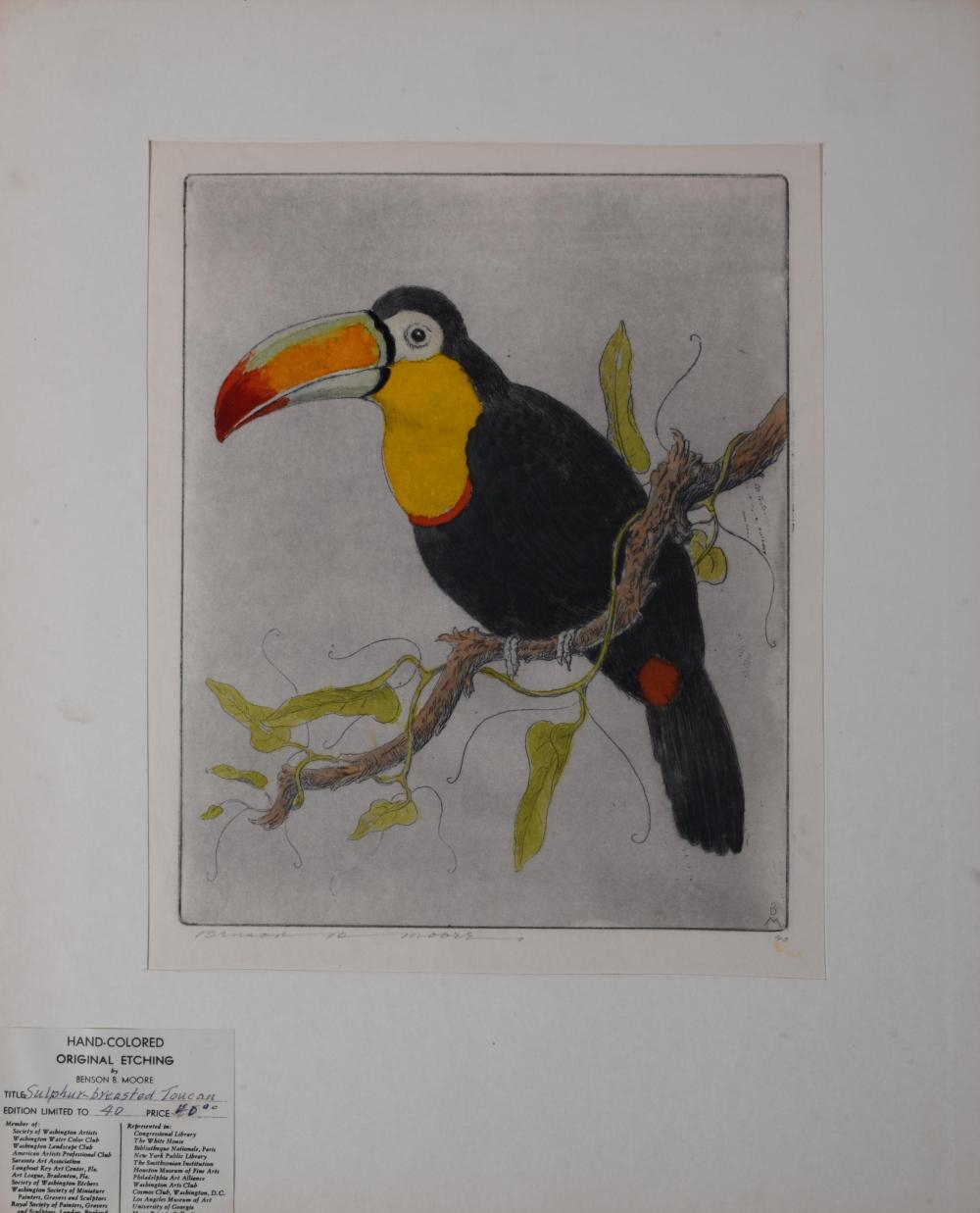 Benson Bond Moore | TROPICAL AND MARINE BIRDS | MutualArt