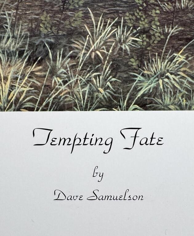 Dave Samuelson | Dave Samuelson Tempting Fate Print | MutualArt