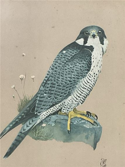 Kenneth Wood | peregrine falcon | MutualArt