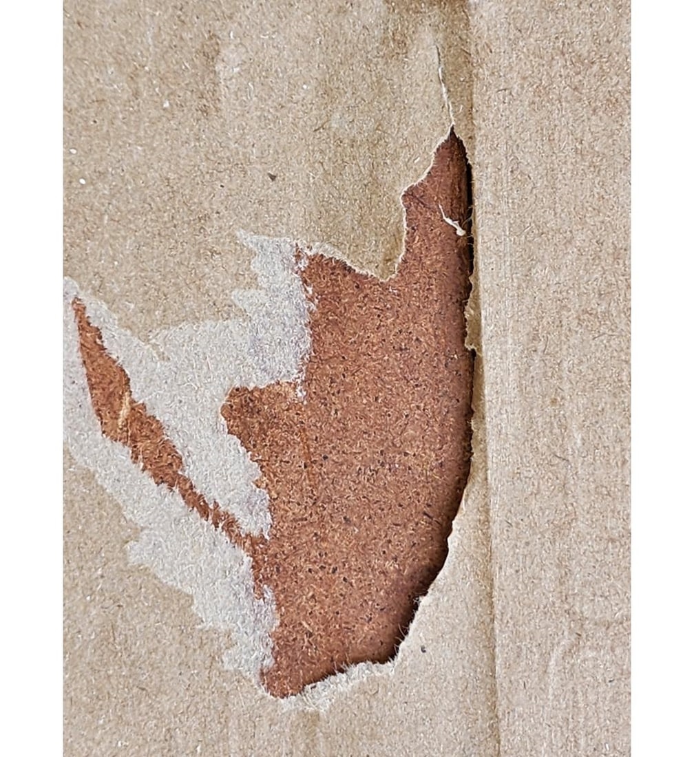 Alma Woodsey‏ Thomas | Untitled | MutualArt