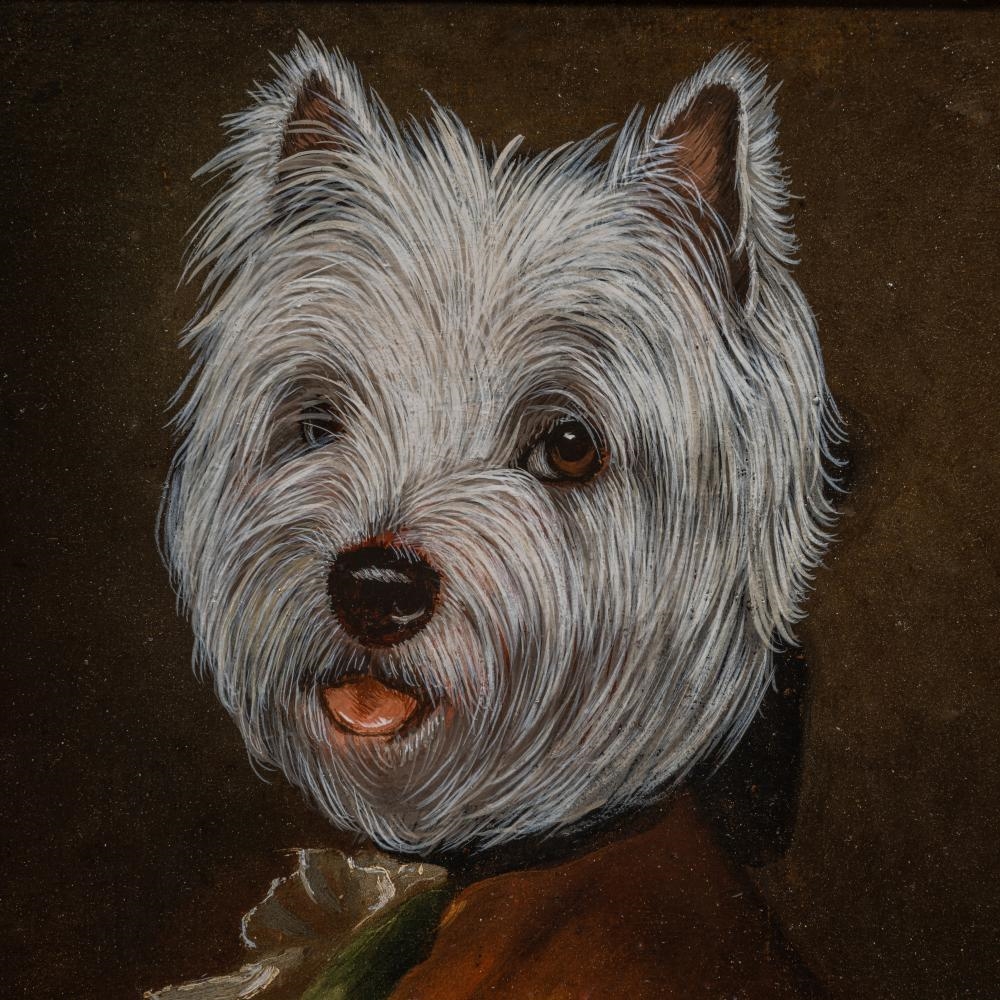 Thierry Poncelet | portrait of a Maltese dog (1946) | MutualArt
