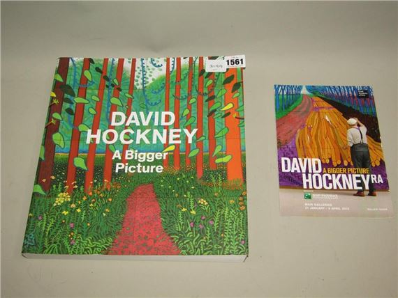 David Hockney | BOOK - DAVID HOCKNEY, A BIGGER PICTURE | MutualArt