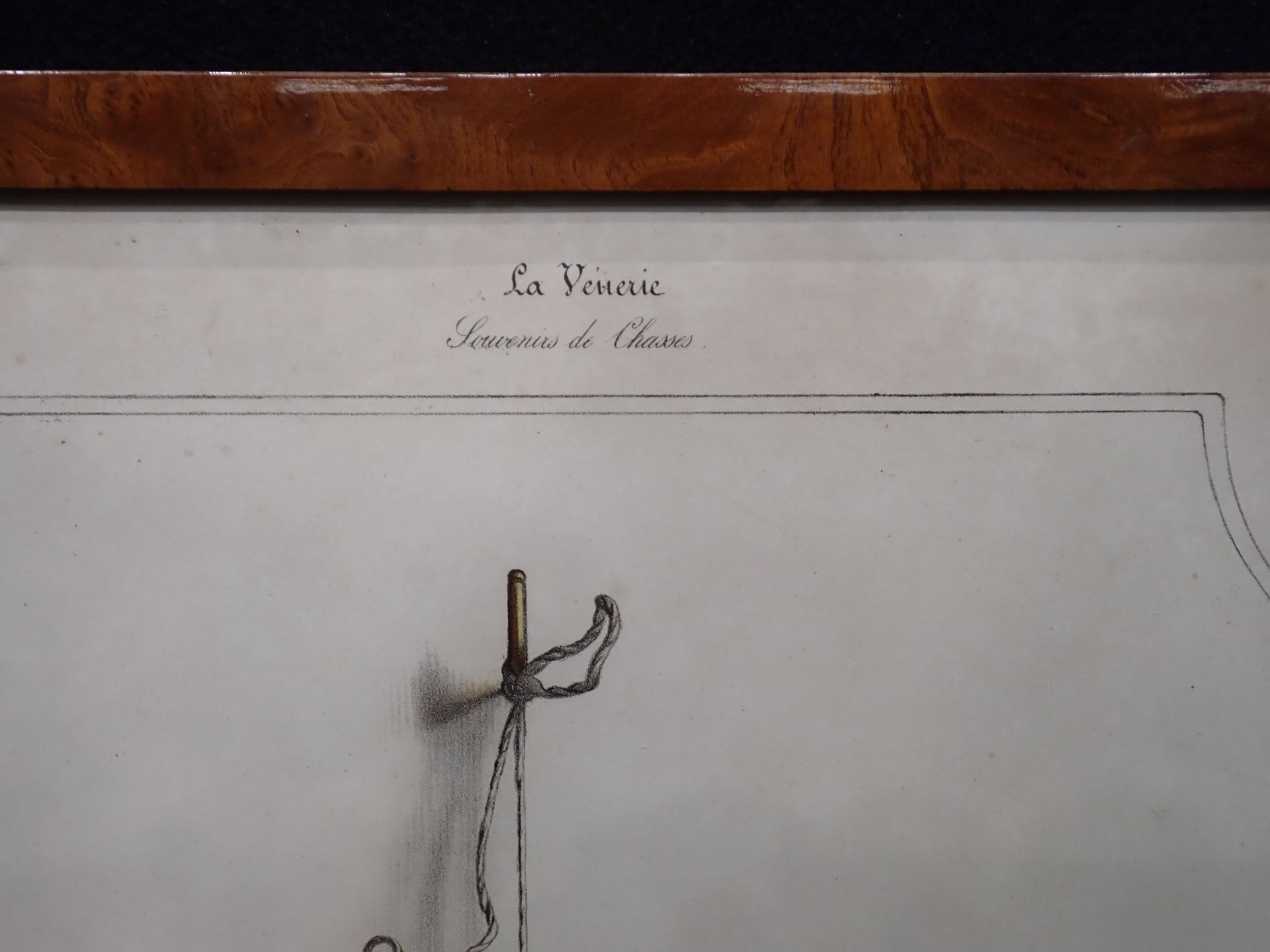 Édouard Traviès | La vénerie : souvenirs de chasse; La sarcelle d'hiver ...