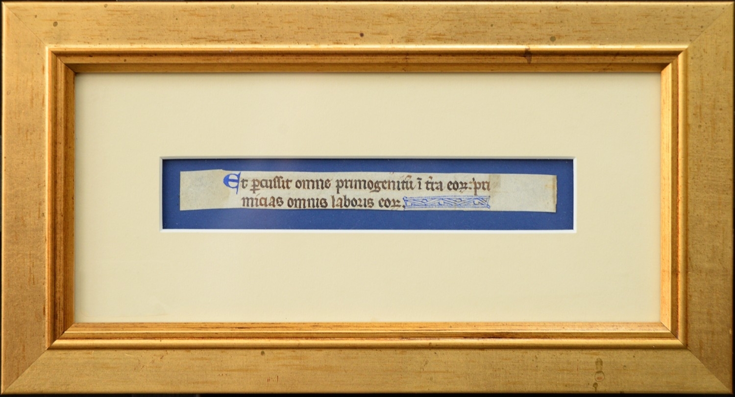 Gothic | A Medieval biblical manuscript vellum fragment, possibly ...