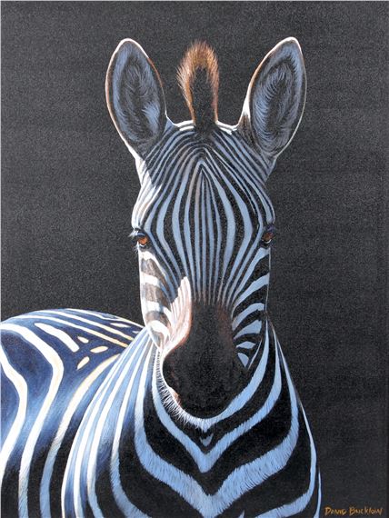 David Bucklow | PORTRAIT OF A ZEBRA | MutualArt