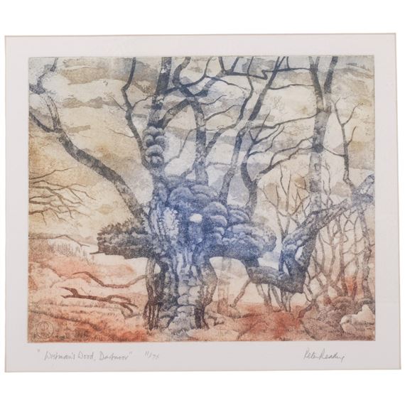 Peter Reading | Wistman's Wood Dartmoor Devon | MutualArt