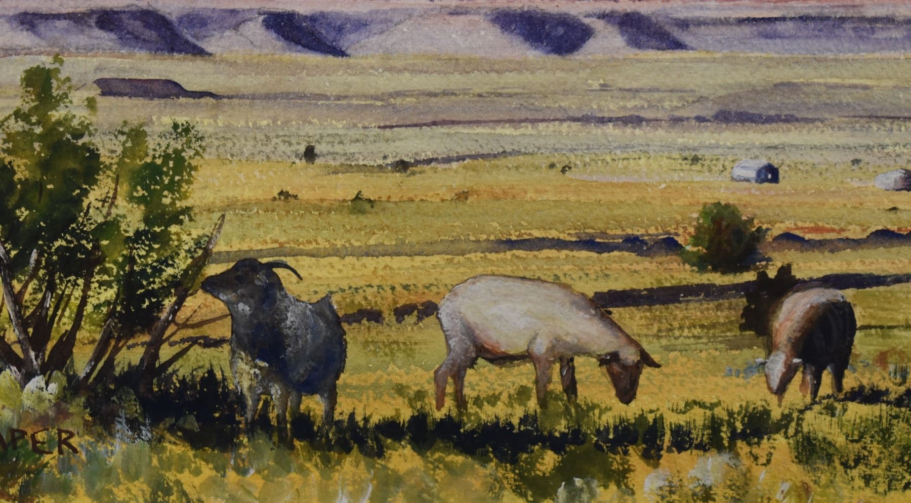 Robert Draper | Sheep heard (1960) | MutualArt