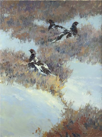 Stephen C. Elliott | : Rock Ptarmigans | MutualArt