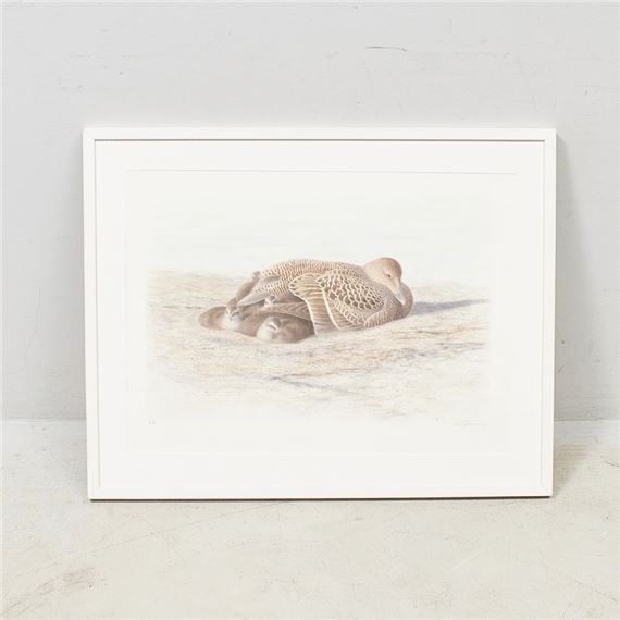 Lars Jonsson | Untitled | MutualArt