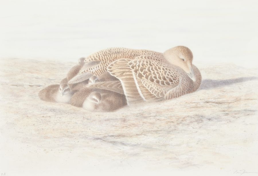 Lars Jonsson | Untitled | MutualArt