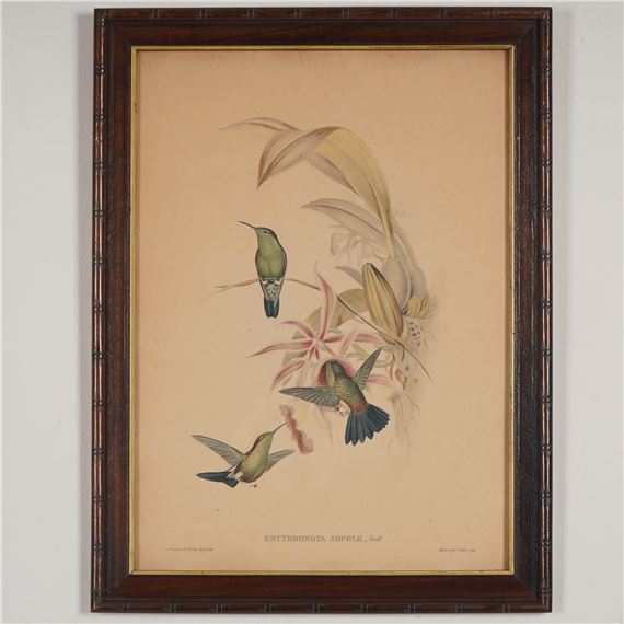 John Gould | Hummingbirds (Late 19th Century) | MutualArt