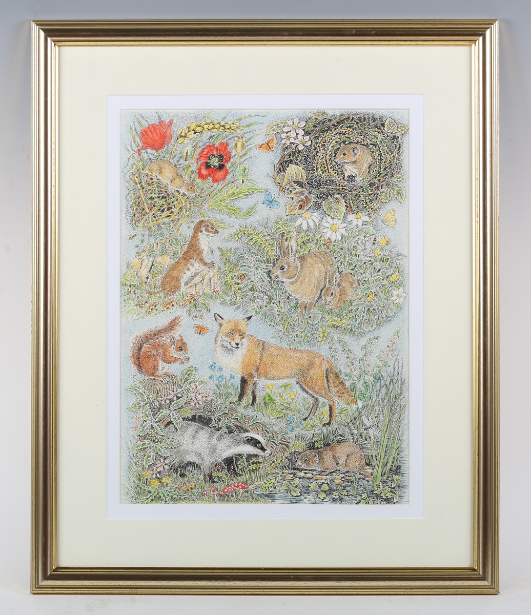 Miriam Louise 'Mim' Brown | 'British Wildlife'; 'Rave at the Haunted House'; 'Mole at Home ...