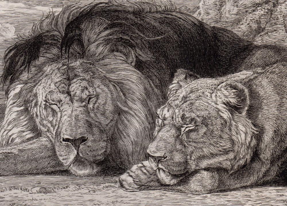 John Frederick Lewis | Lion and Lioness (1880) | MutualArt