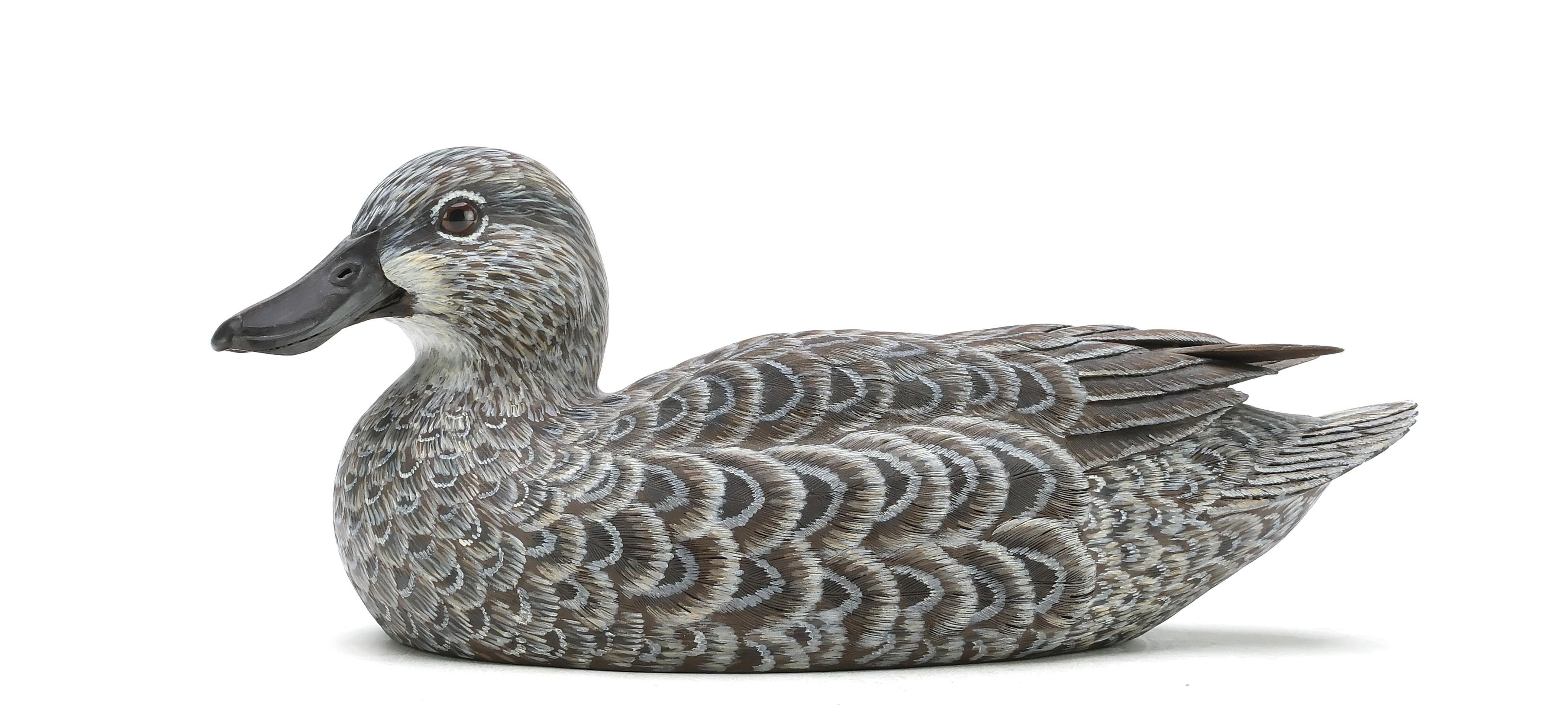 Don Shunk | Decorative blue wing teal hen | MutualArt