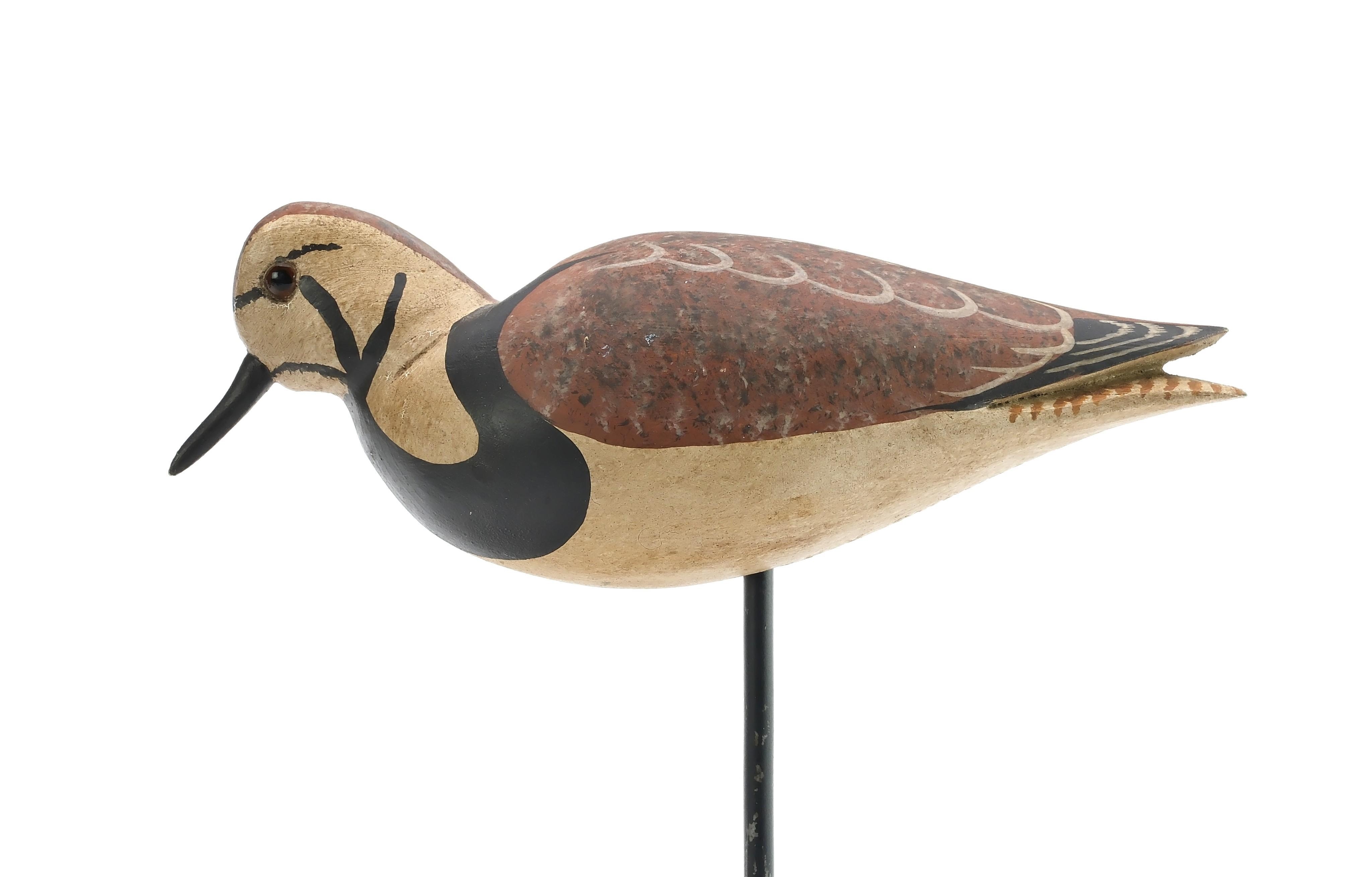 Harry V. Shourds III | Ruddy turnstone in a running pose | MutualArt