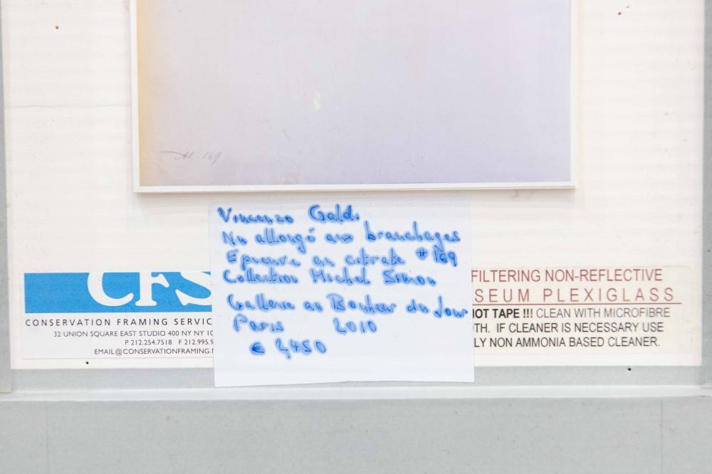 Vincenzo Galdi | Nu Allongé aux Branchages (Nude Lying on Branches ...