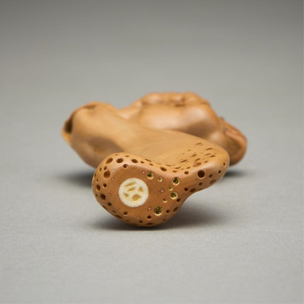 David Carlin | Leaping Carp (21) | MutualArt