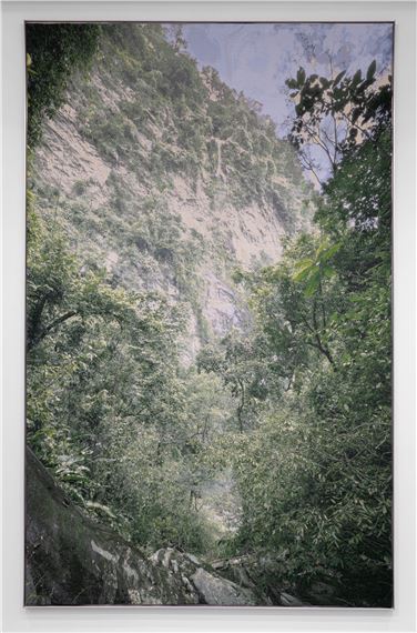 David Hartt | The Histories (after Cazabon) | MutualArt