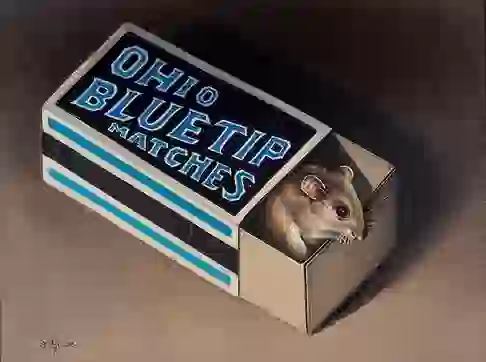 Shirley Howe | MOUSE AND MATCHBOX | MutualArt