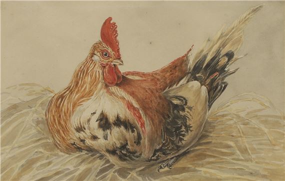 Aert Schouman | A hen | MutualArt