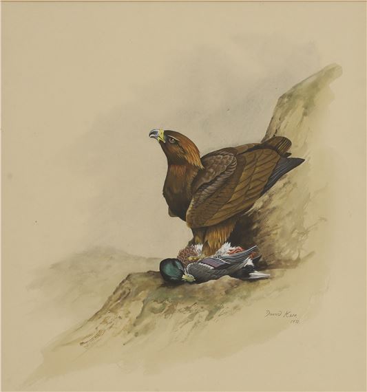 David Ord Kerr | A golden eagle with a mallard (1972) | MutualArt