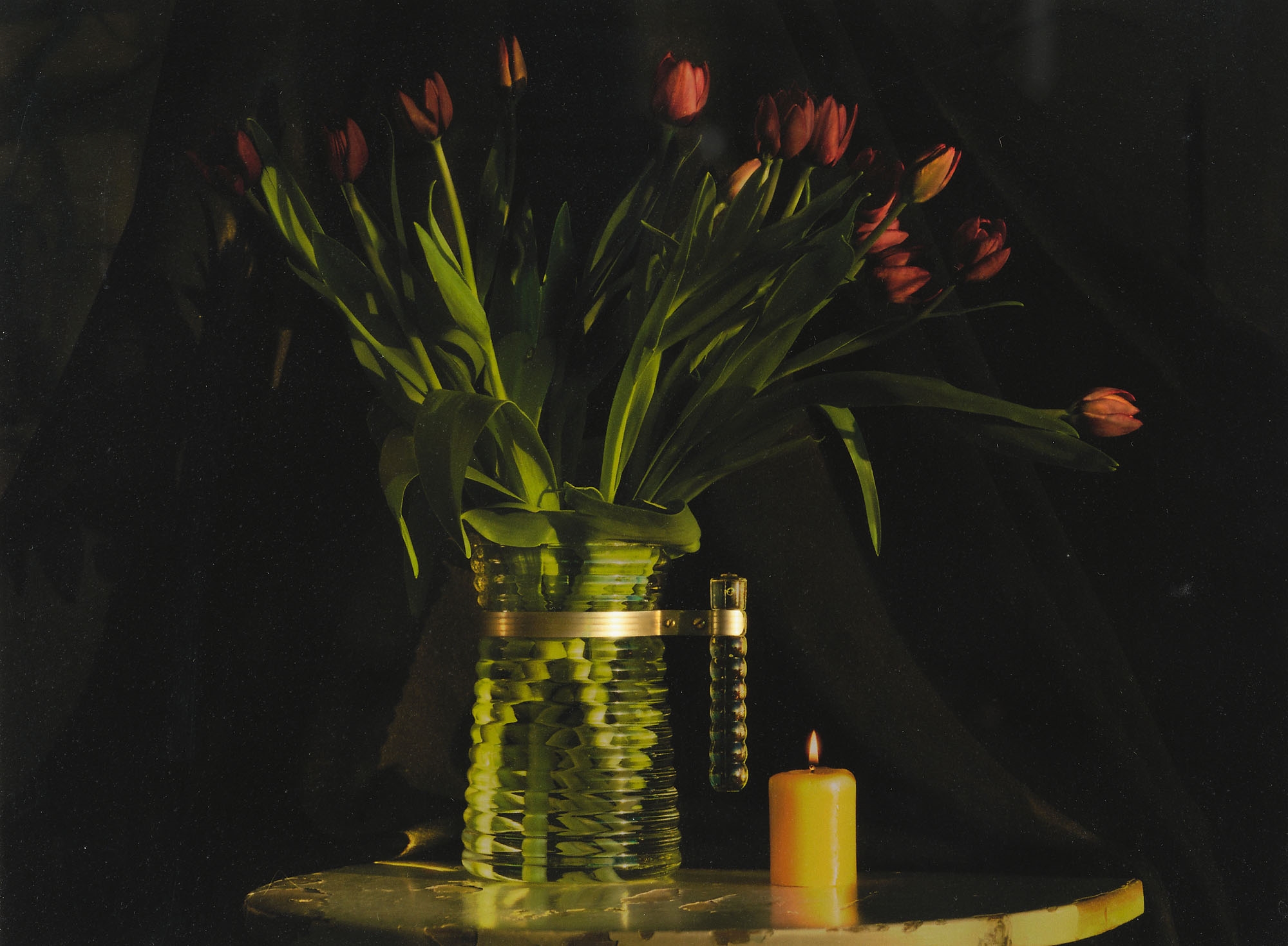 Fiona Pardington | Still Life with Lazlo (2018) | MutualArt