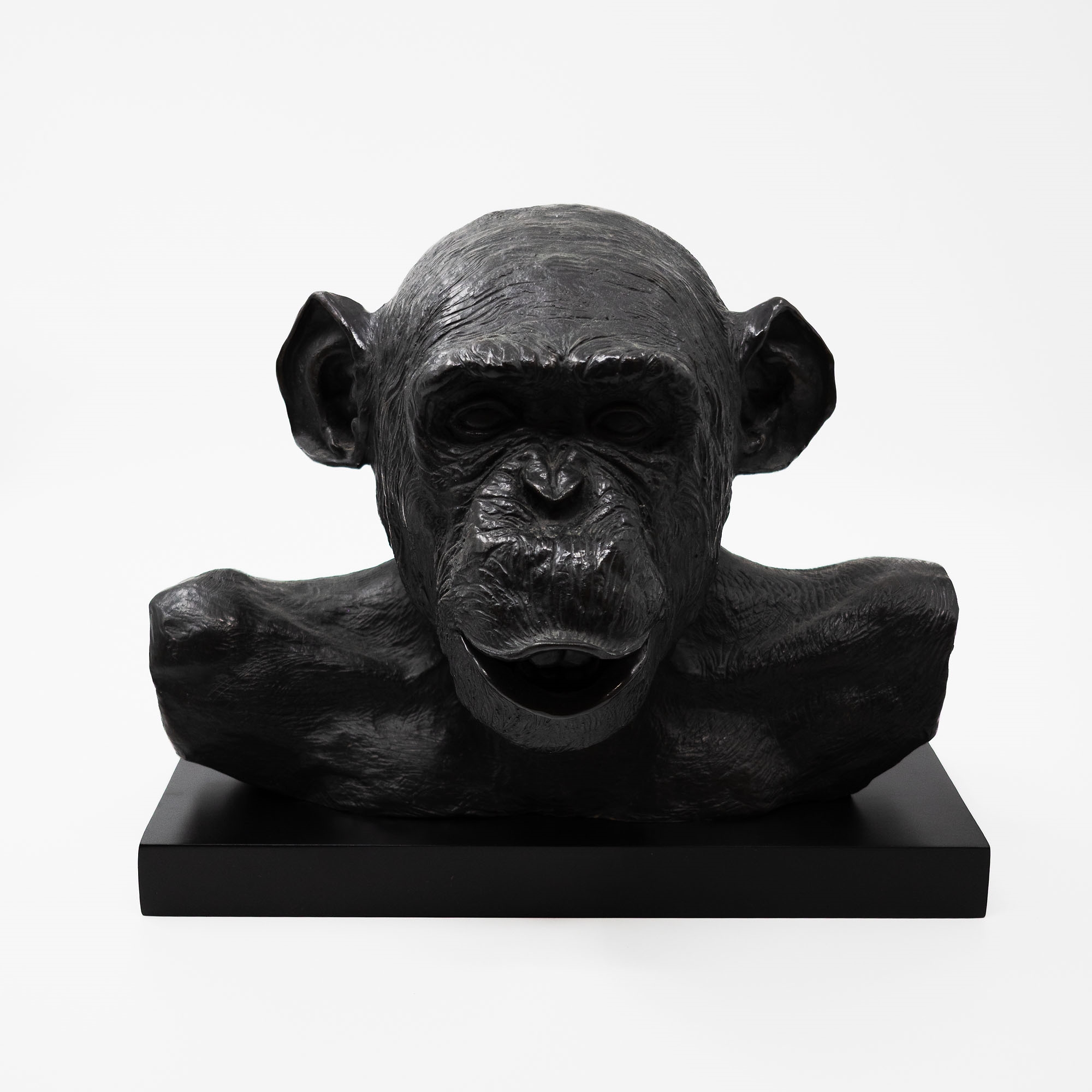 Lisa Roet | Astro Chimp (1967) | MutualArt