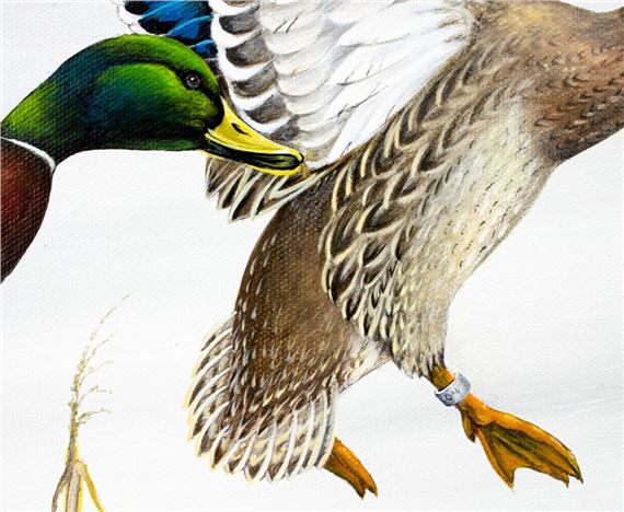 Lee Mauney | Flying Ducks | MutualArt