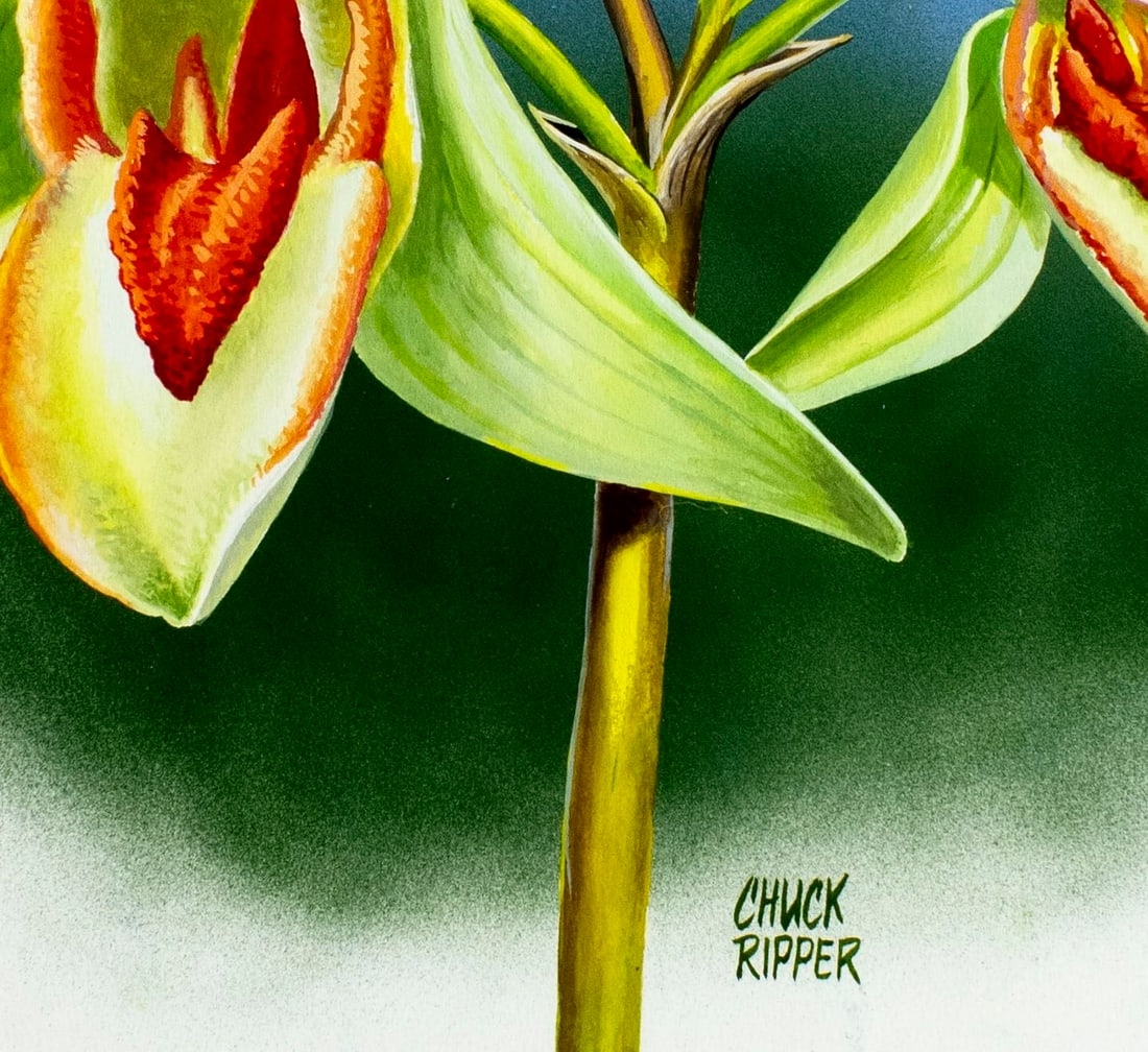 Chuck Ripper | Dendrobium Cruentum (2005) | MutualArt