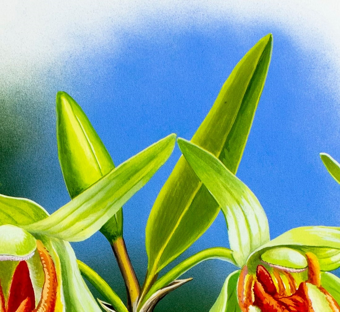 Chuck Ripper | Dendrobium Cruentum (2005) | MutualArt