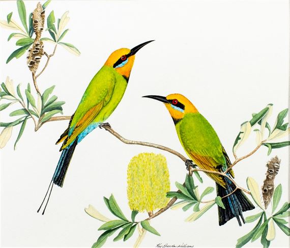 Kay Breeden Williams | Green Bee Eater Birds | MutualArt