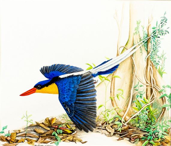 Kay Breeden Williams | Common Paradise Kingfisher Bird | MutualArt