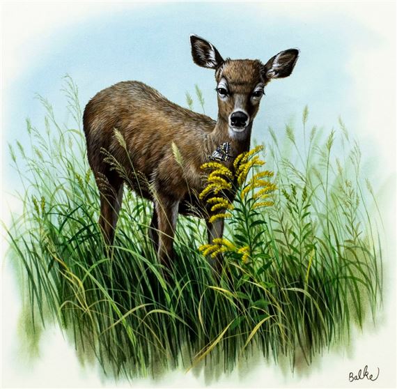 Don Balke | White-tailed Deer (1987) | MutualArt