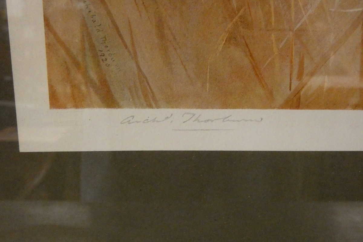 Archibald Thorburn | Signed Archibald Thorburn print of a Kingfisher ...