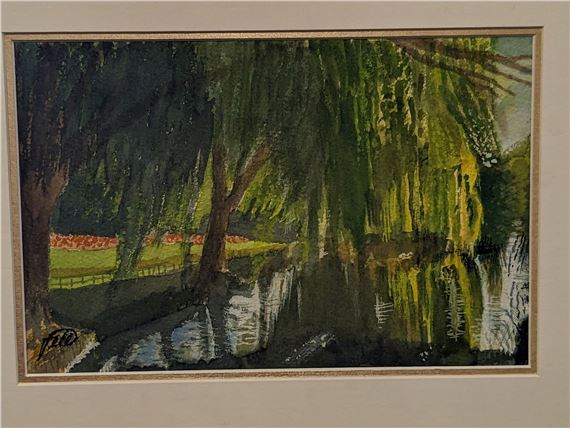 David Fell | Reflecting Light Adelaide Botanical Gardens | MutualArt