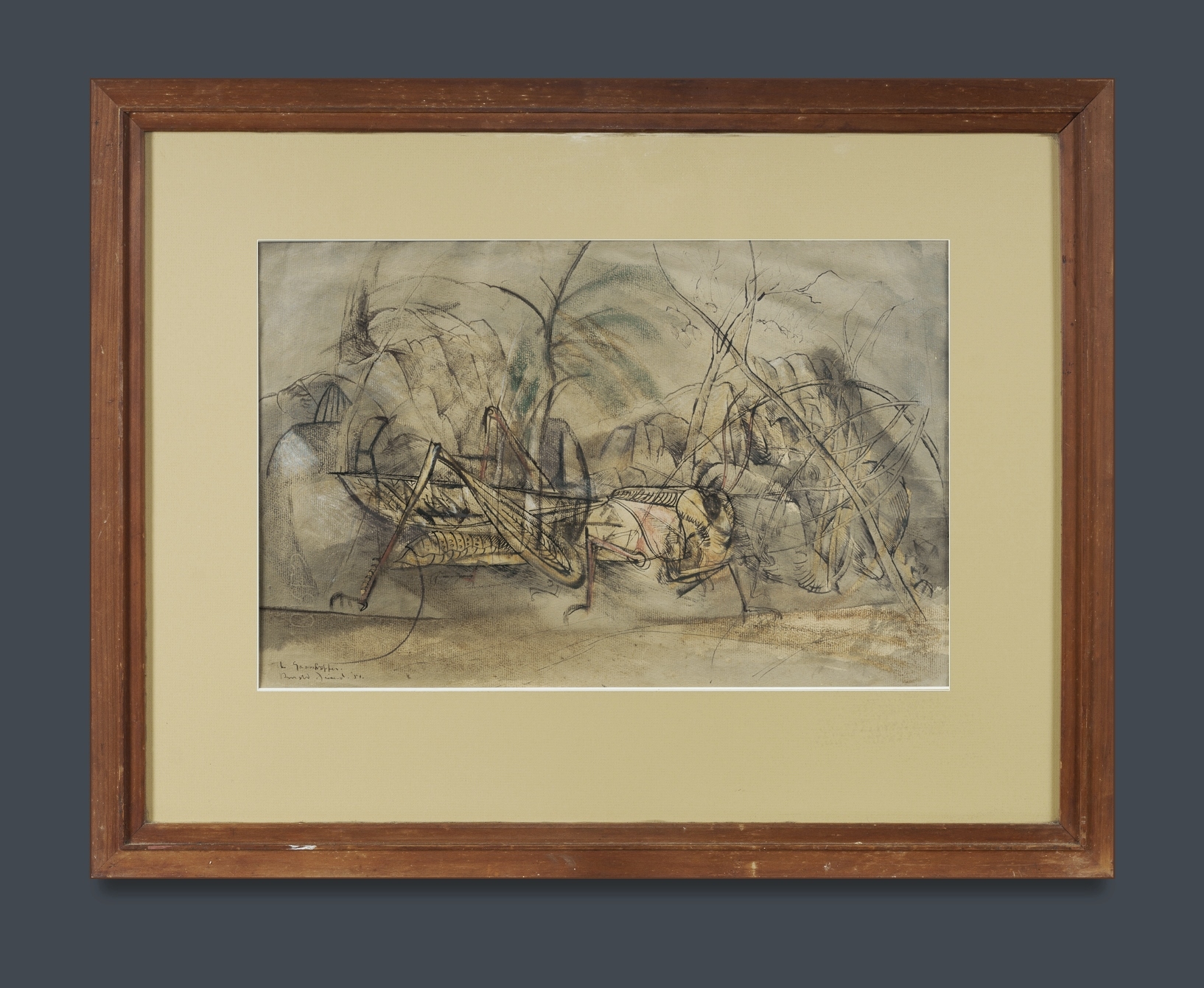 Donald Friend | The Grasshopper (1951) | MutualArt