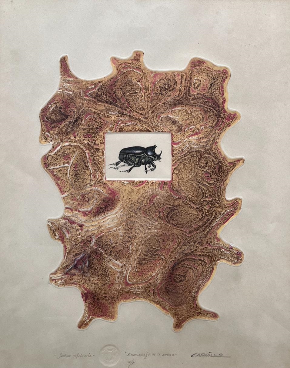 Rimer Cardillo | Escarabajo de la arena | MutualArt