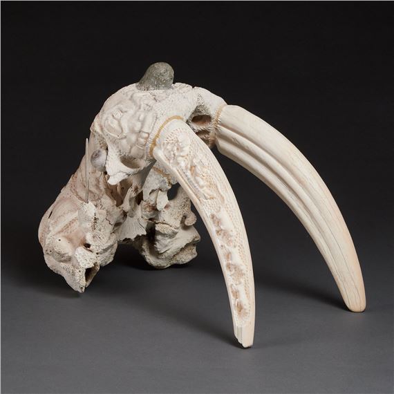 Luke Airut | WALRUS SKULL (2002) | MutualArt