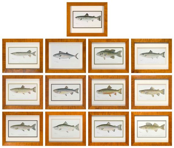 Sherman Foote Denton | SET OF TWELVE SHERMAN FOOTE DENTON FISH (Circa ...