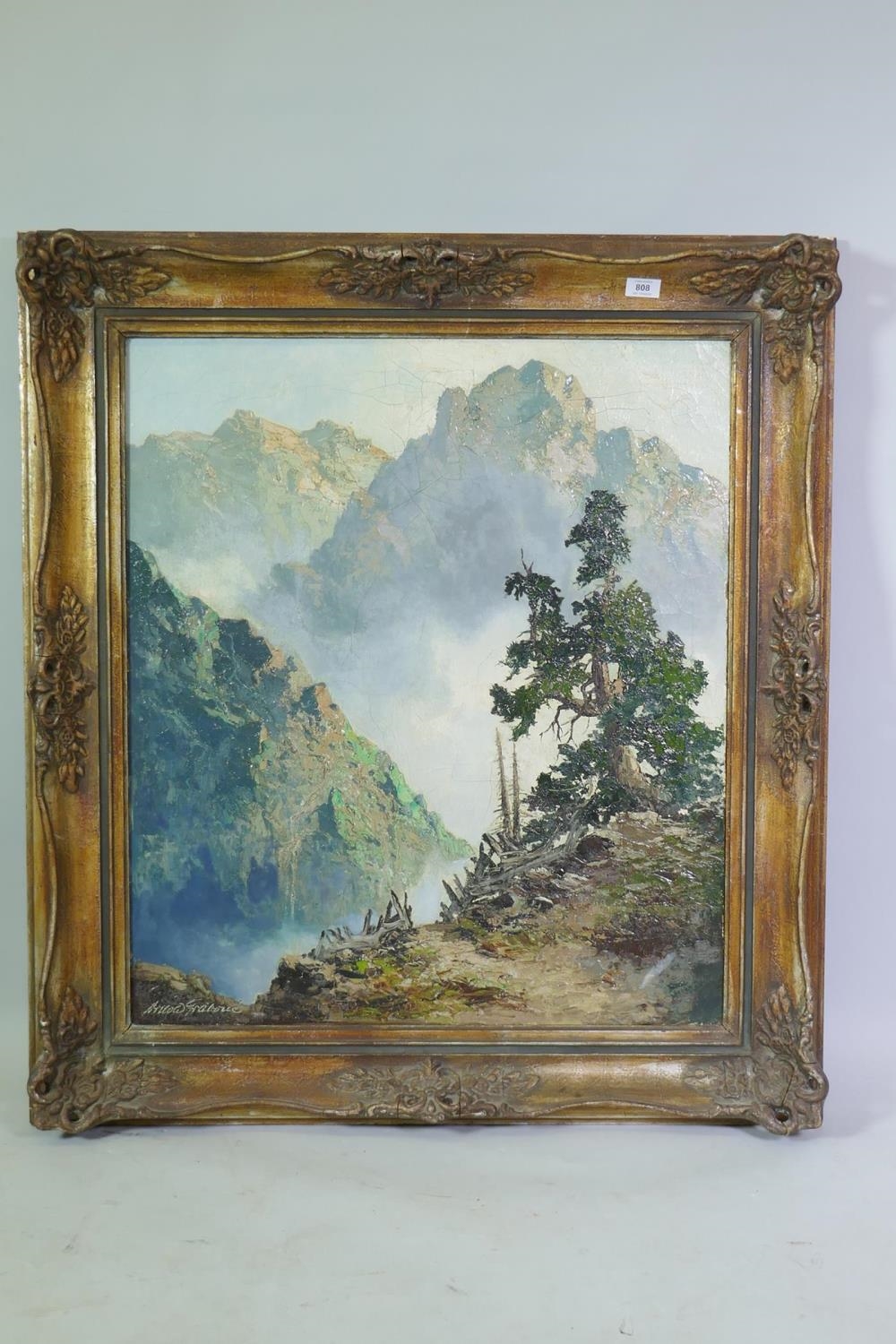 Georg Arnold-Graboné | mountain landscape | MutualArt