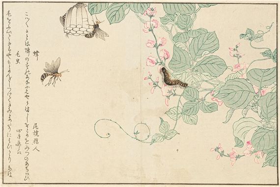 Kitagawa Utamaro | Buch der Insekten (1788) | MutualArt