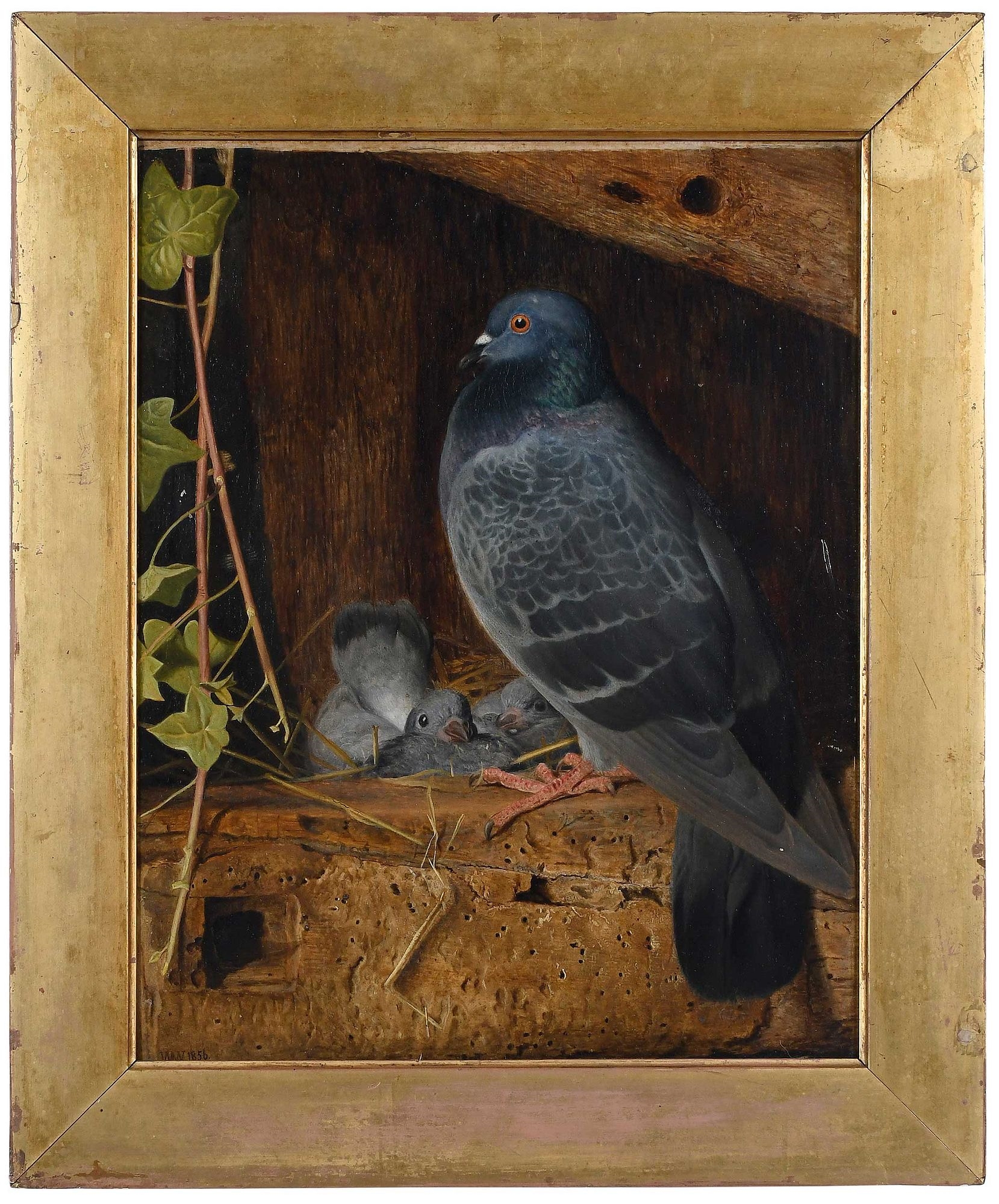 William J. Webbe | Pigeon and Nestlings (1856) | MutualArt