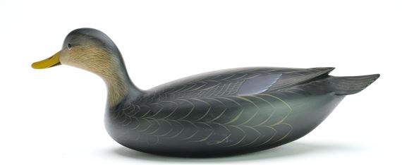 George Strunk | Black duck in a swimming pose (2005) | MutualArt