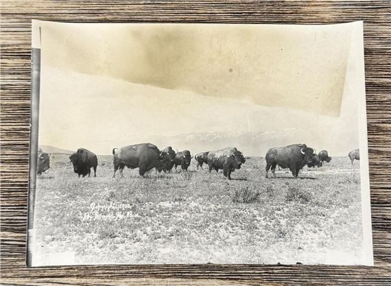 Edward Boos | Edward Boos Flathead Indian Montana Photo (20th Century ...