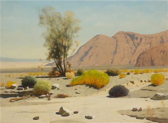 James Swinnerton | Smoke tree in a desert landscape | MutualArt